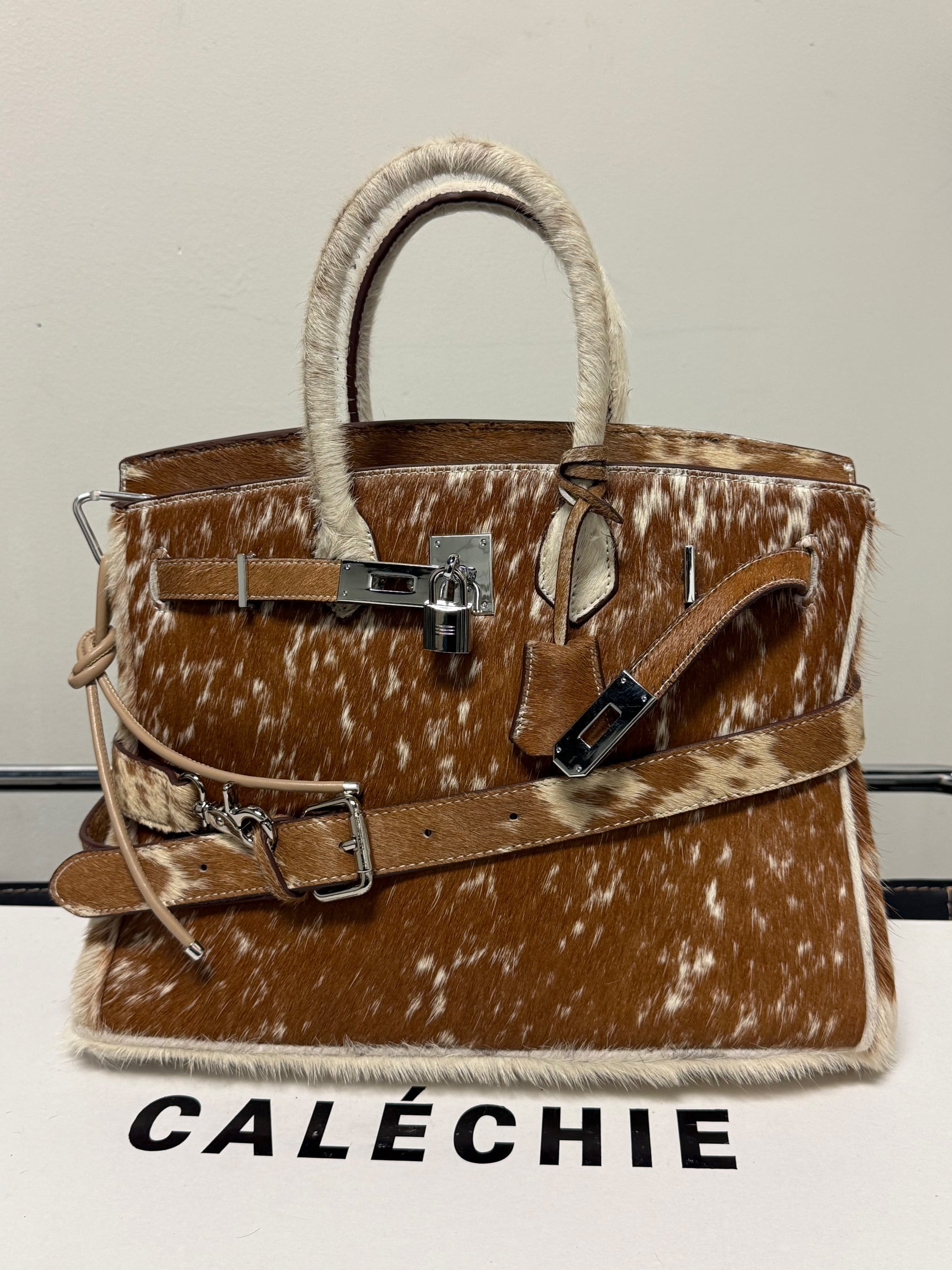 CALÉCHIE 35 – CALECHIE